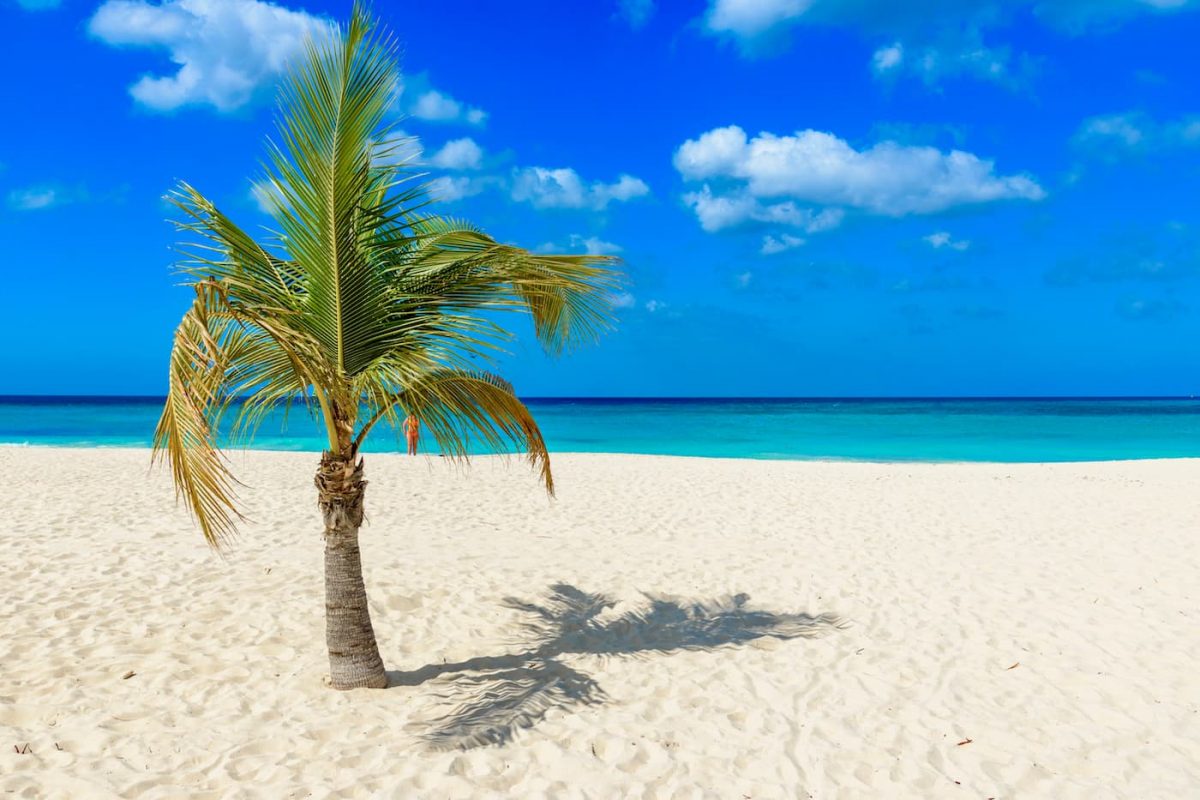 Eagle Beach | 🏖️Beaches of Aruba Eagle Beach | 🏖️Beaches of Aruba